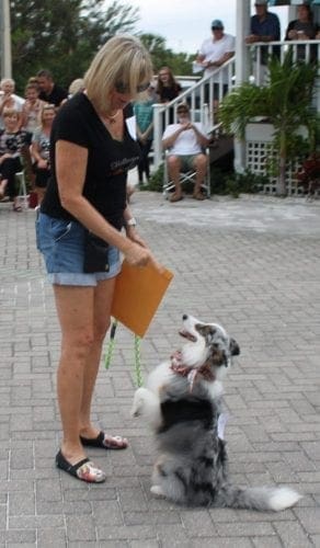 Canine costume contest cute, cuddly - AMI Sun