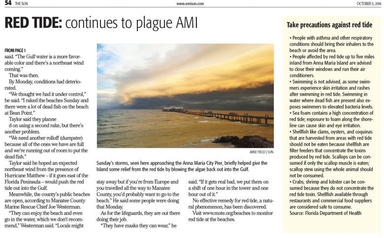 Sun earns 17 awards - AMI Sun