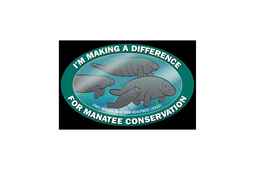 New manatee, turtle decals out - AMI Sun