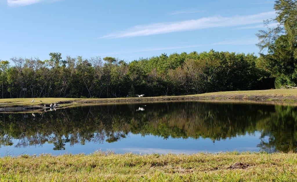 FISH Preserve a dream come true - AMI Sun