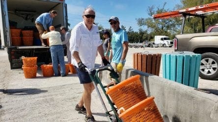 Clams restored in Sarasota Bay - AMI Sun