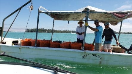 Clams restored in Sarasota Bay - AMI Sun