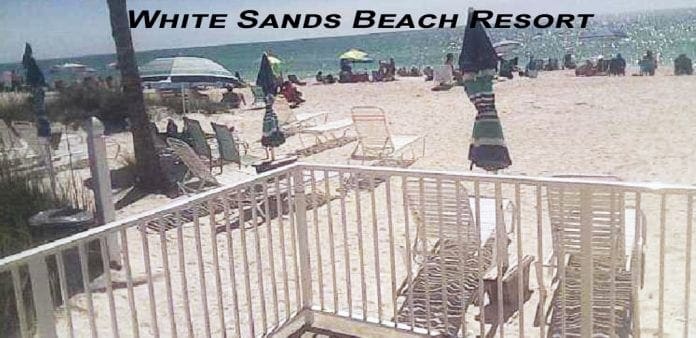 Anna Maria Island beach cams - AMI Sun