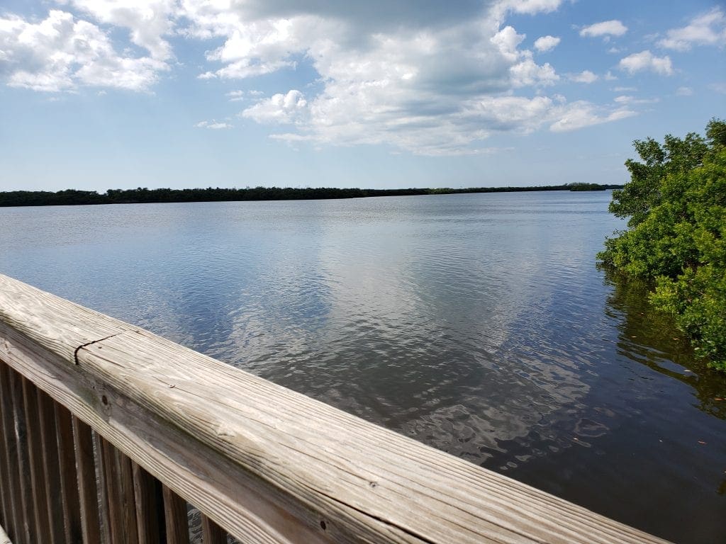 Early duck hunting season revives concerns - AMI Sun