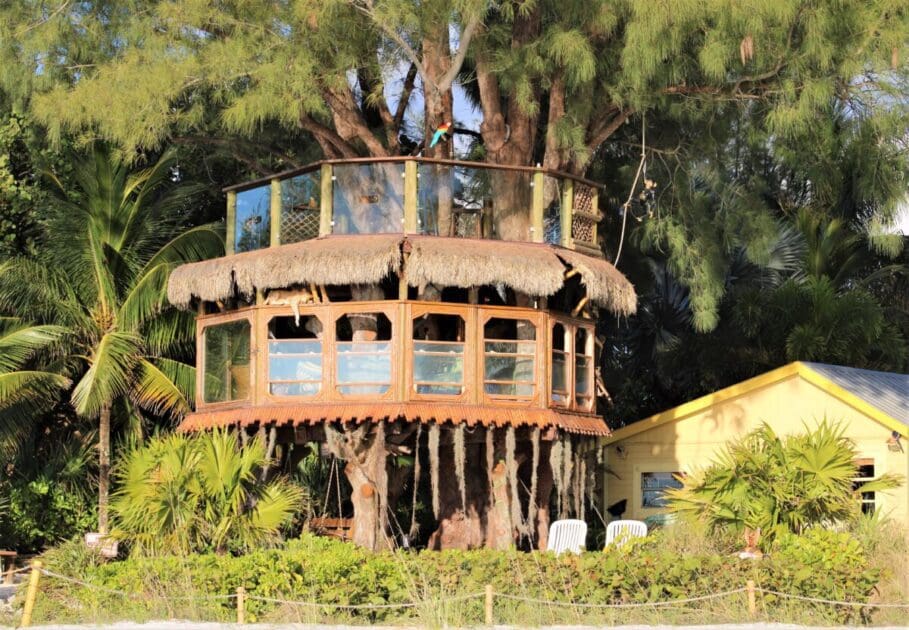 Treehouse owners clash with city over VRC renewals - AMI Sun