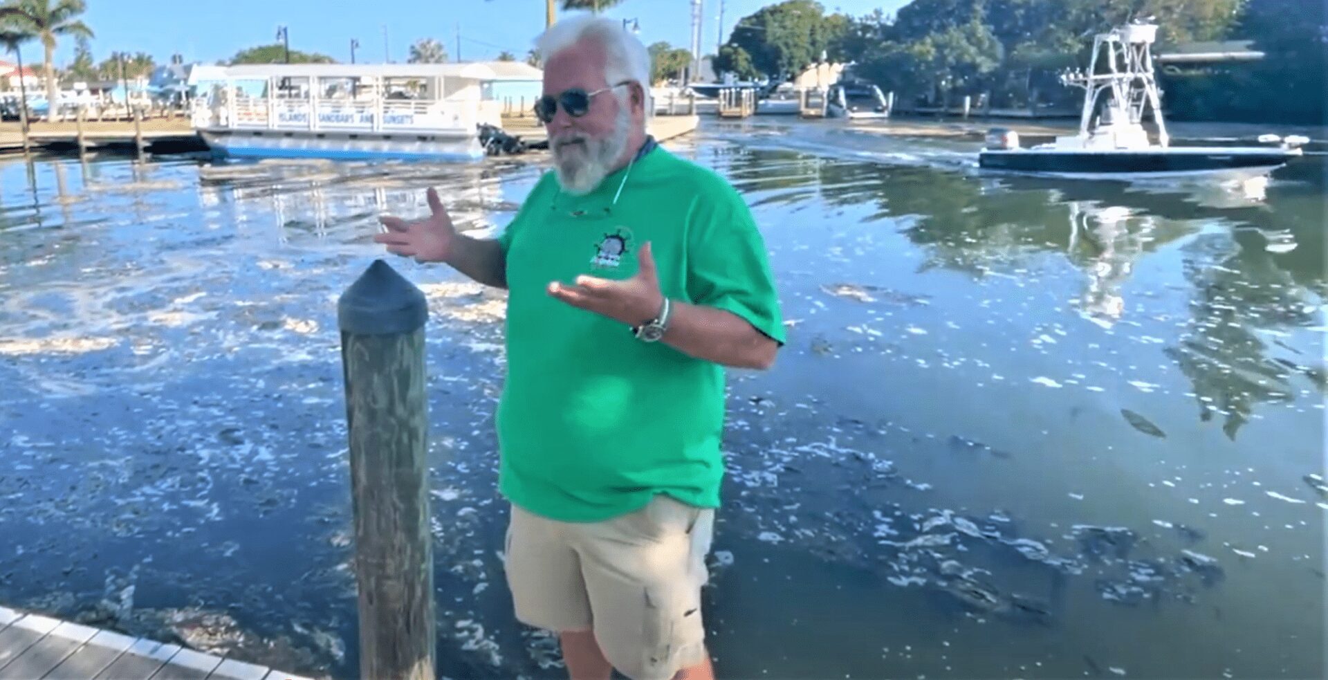 Mats of algae clog marina, affect business - AMI Sun