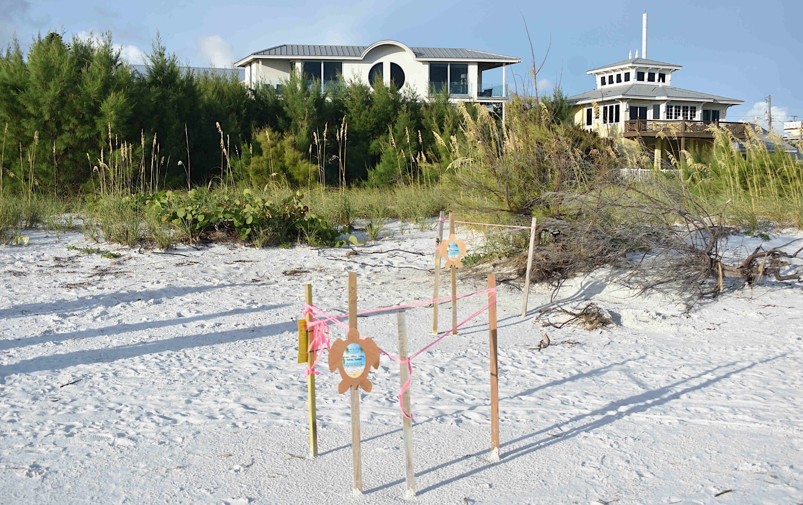 FDEP allows beachfront development - AMI Sun