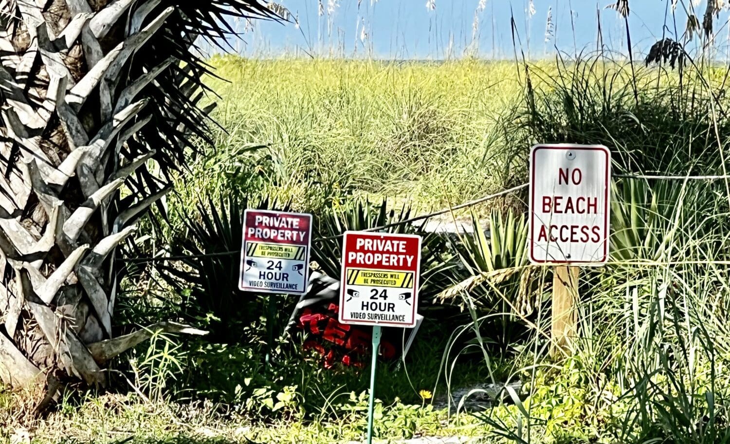 Beach access hearing continues Friday - AMI Sun