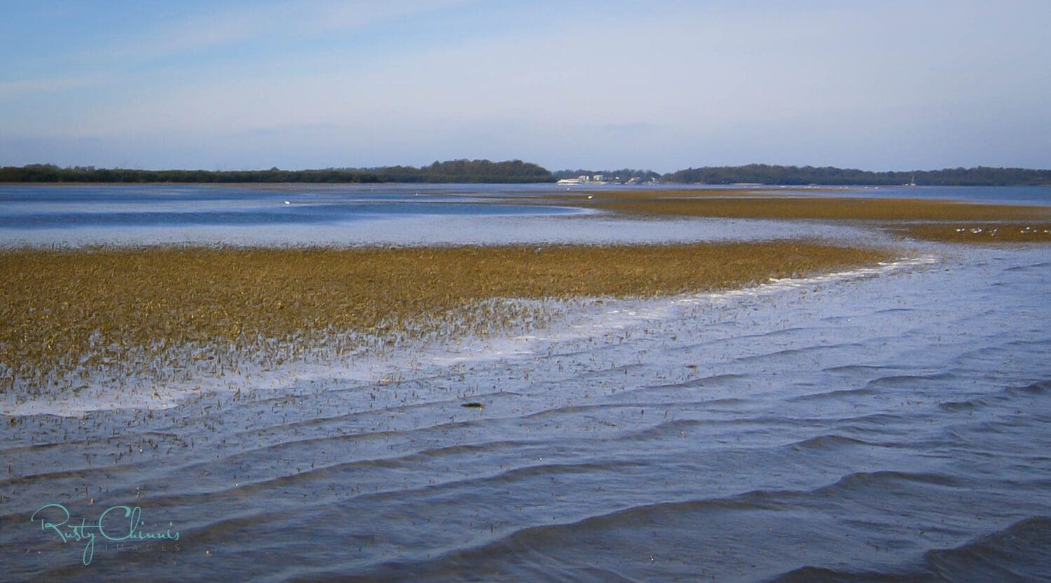 Reel Time: The ups and downs of tides - AMI Sun