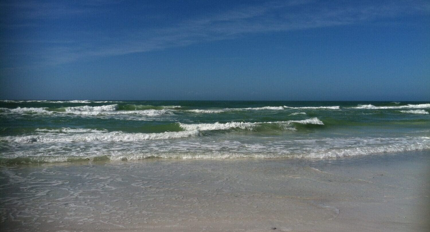 Red tide numbers high south of Manatee County - AMI Sun