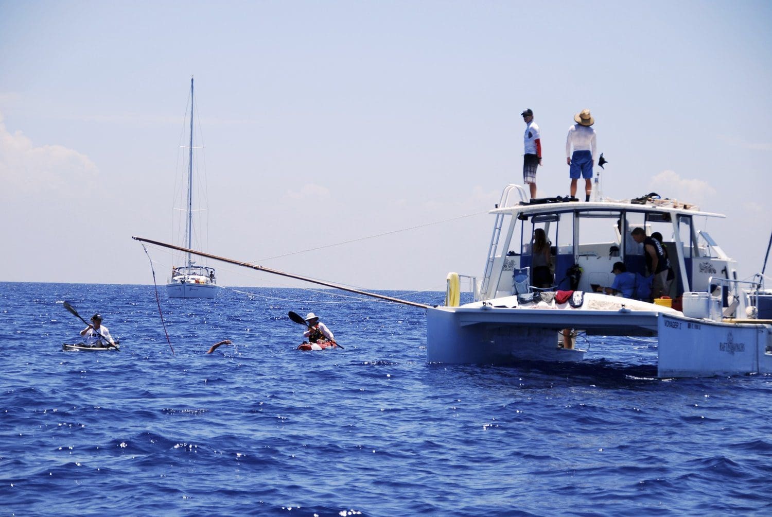 Film celebrates Nyad’s historic swim from Cuba to Key West - AMI Sun