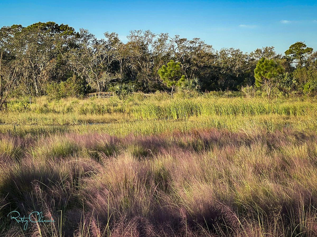 Reel Time: The making of Perico Preserve - AMI Sun