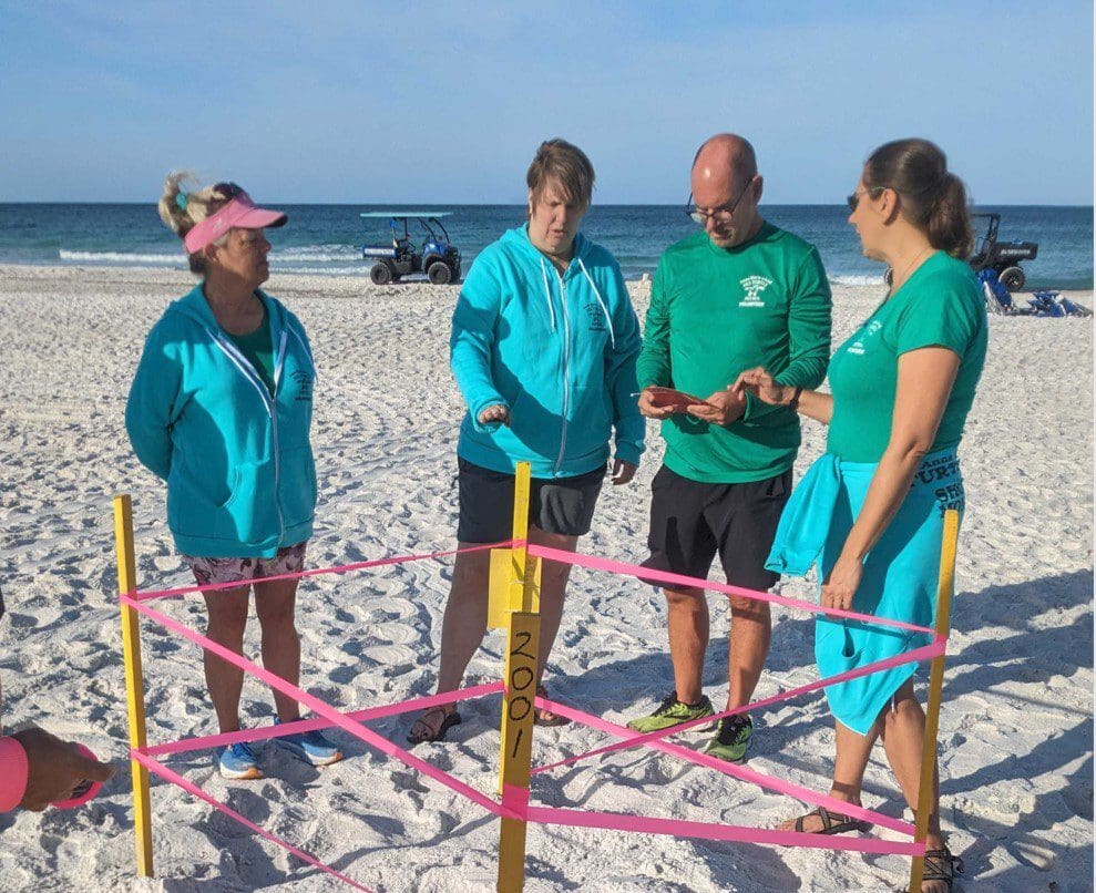 Turtle Watch volunteers find season’s first sea turtle nest - AMI Sun