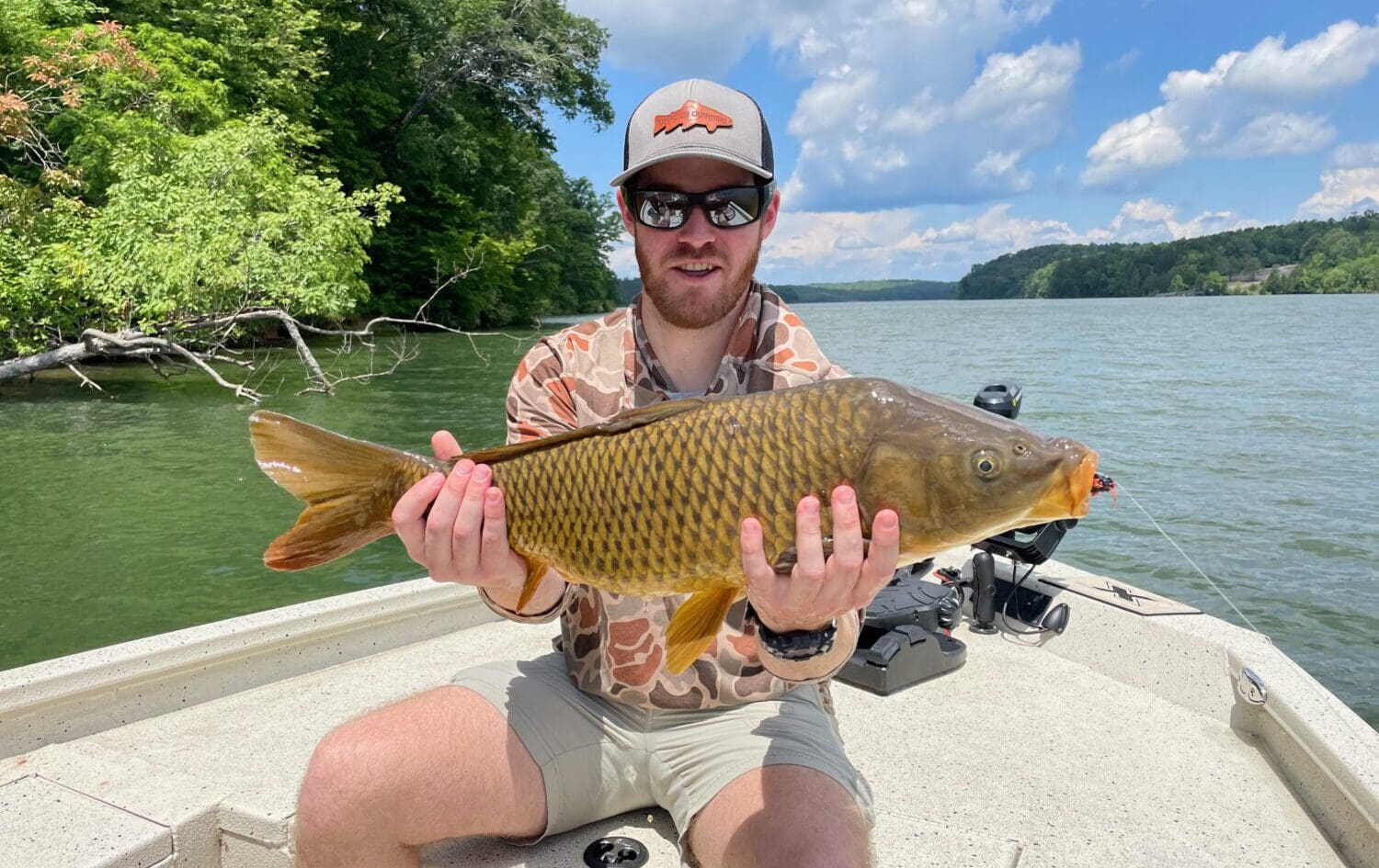 Carpe diem - AMI Sun