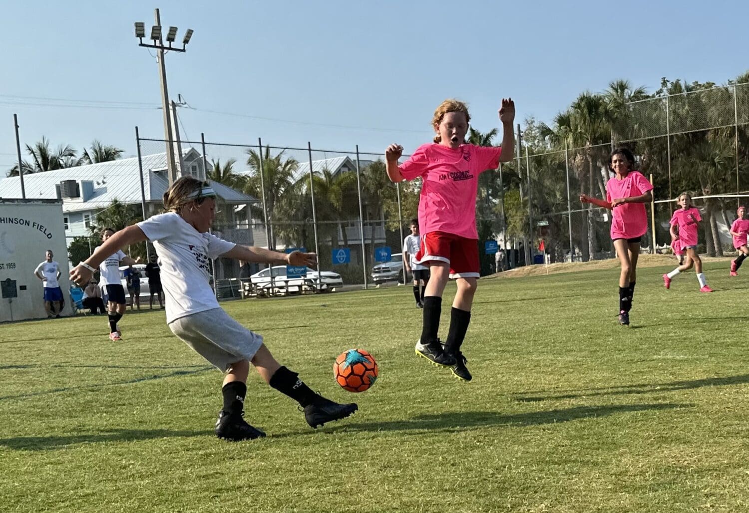 First win for Shady Lady - AMI Sun